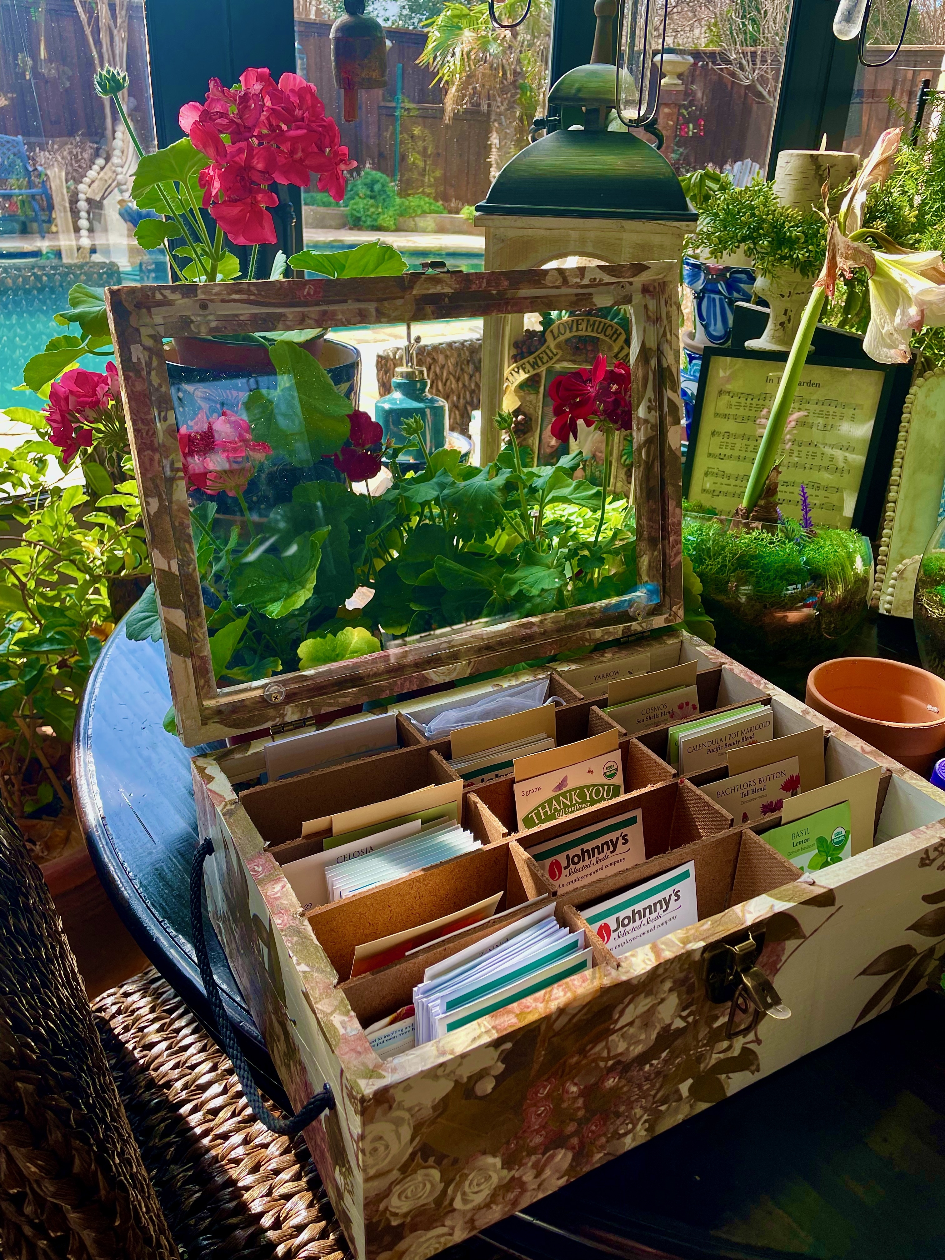Unique Seed Box | pbgarden.com