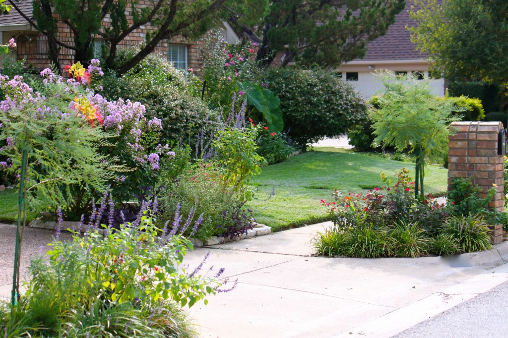Our Best Garden Ever | pbgarden.com