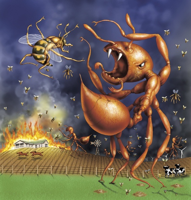 University of Texas Fire Ant Project | pbgarden.com